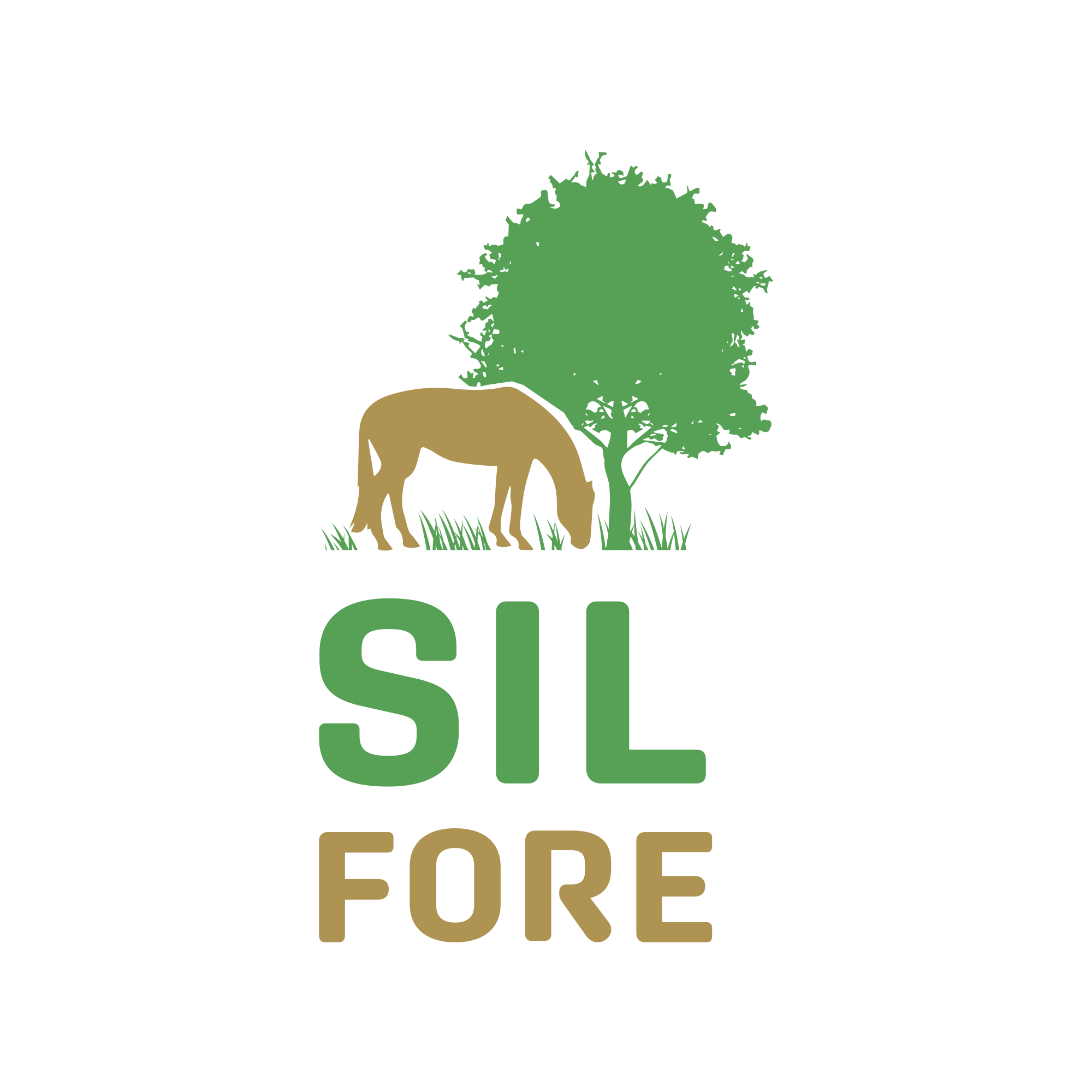 SILFORE – Para a conservação e gestão de sistemas agroflorestais ...